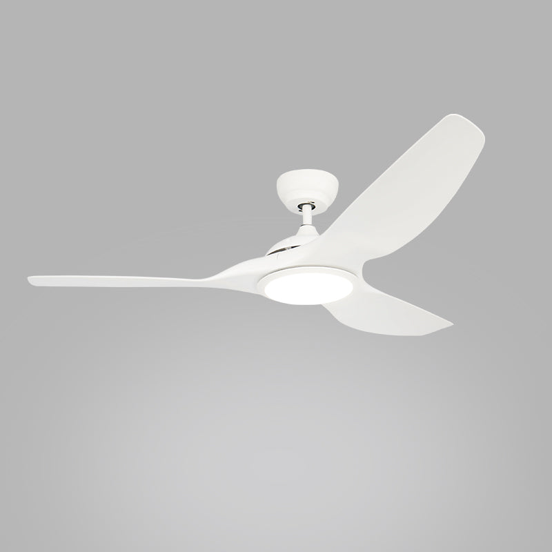 Ceiling fan light – Pro-Vision.tech