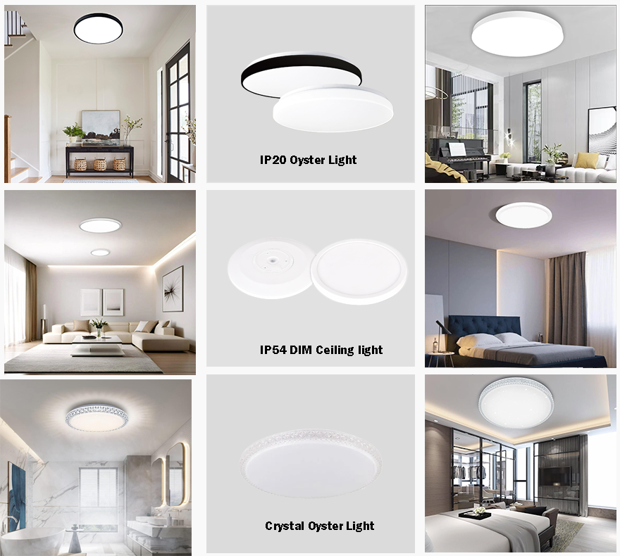 LED Oyster Ceiling Light – Pro-Vision.tech